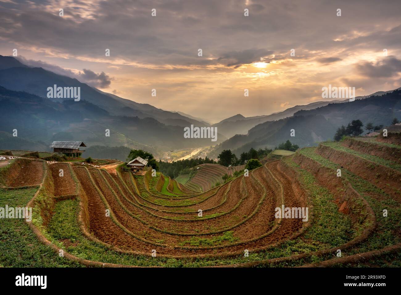 Sunset scenery of the terraces in the watering season in Mu Cang Chai ...