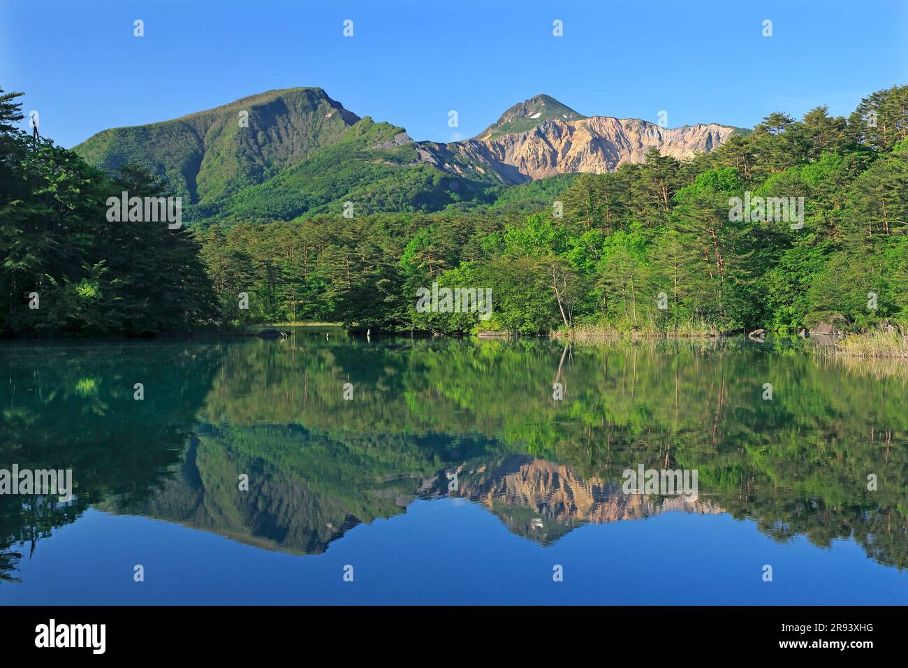 Bandai and Bandai Goshikinuma of back Stock Photo - Alamy