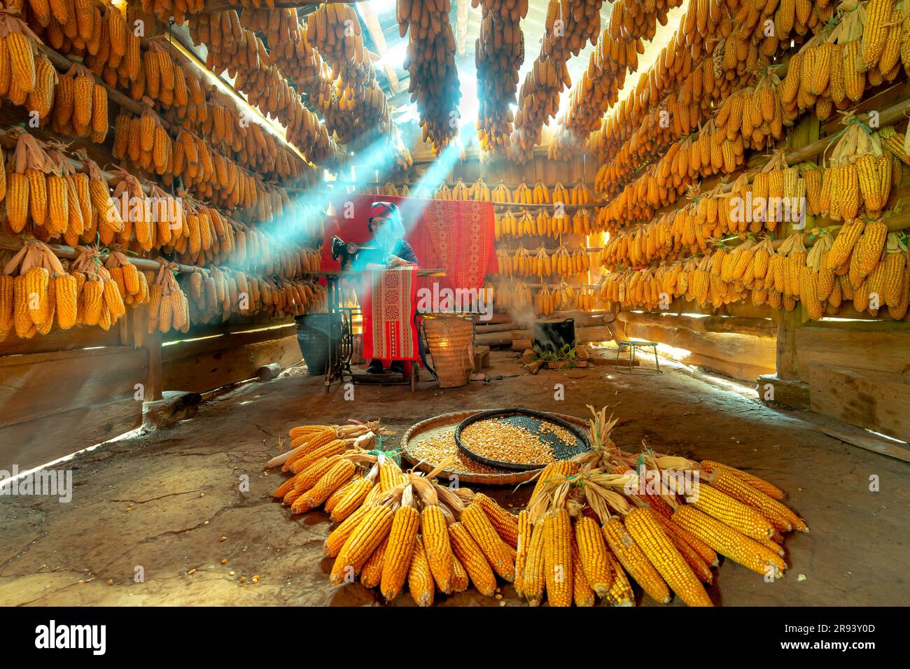 a house for maize, corn after harvesting for long-term storage, the H ...