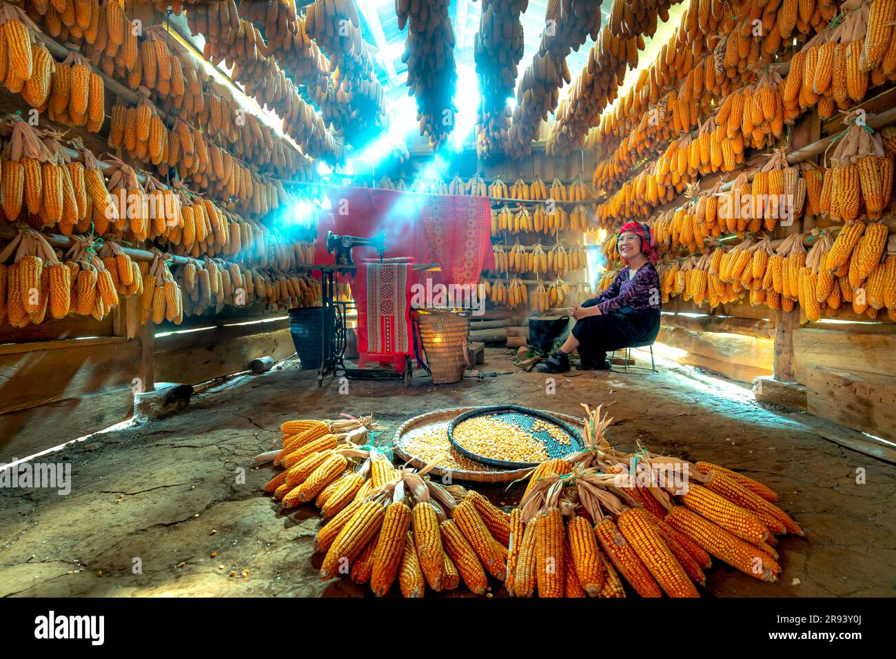 a house for maize, corn after harvesting for long-term storage, the H ...