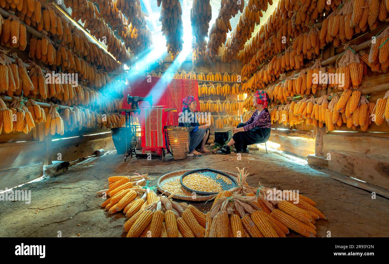 a house for maize, corn after harvesting for long-term storage, the H ...
