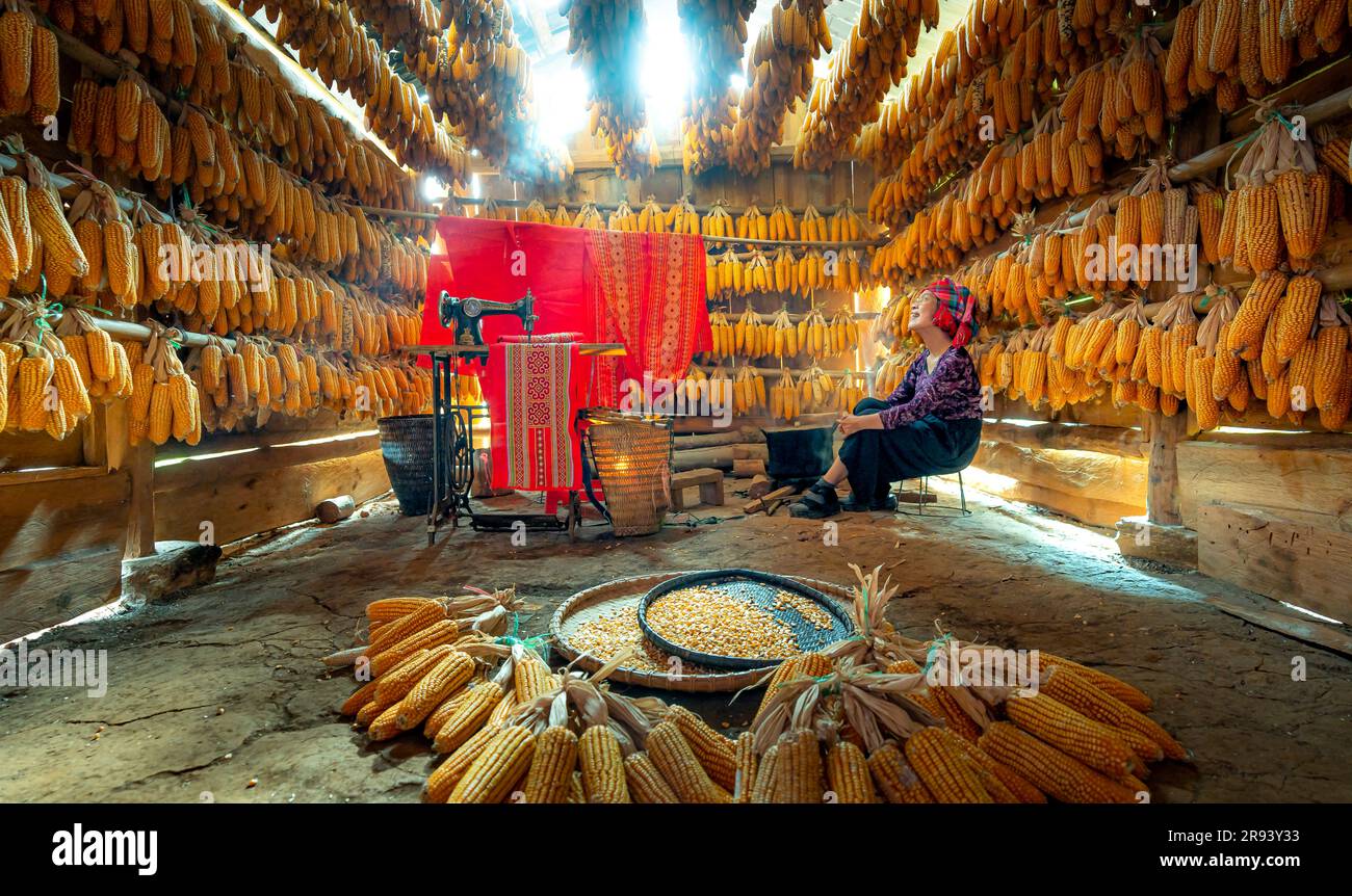 a house for maize, corn after harvesting for long-term storage, the H ...