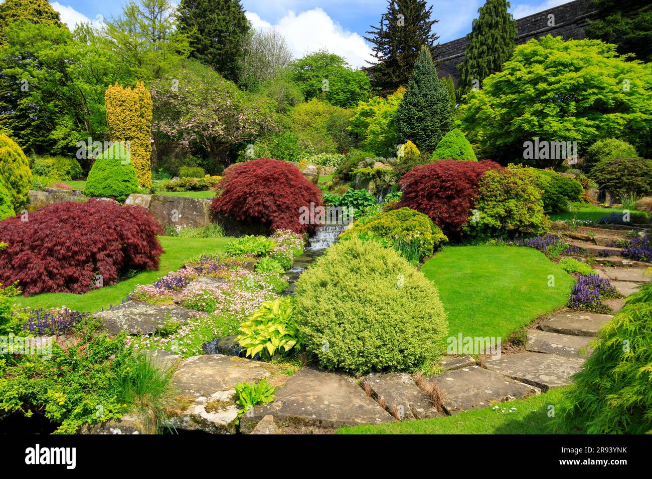 A colourful display of spring flowers and leaves in the Kilver Court ...