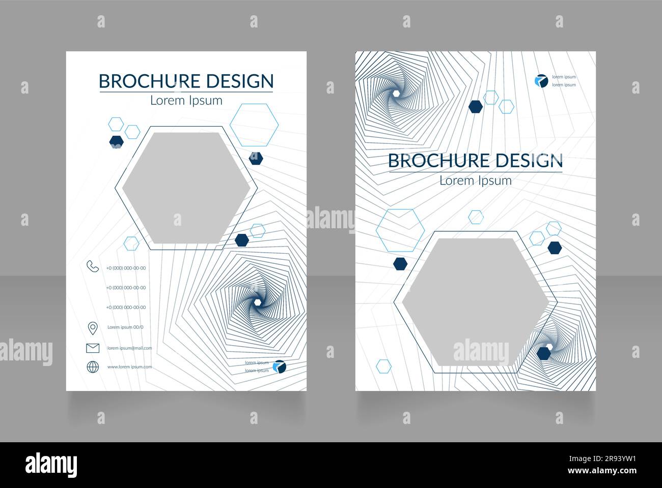 Web Design And Coding Service Blank Brochure Design Stock Vector Image