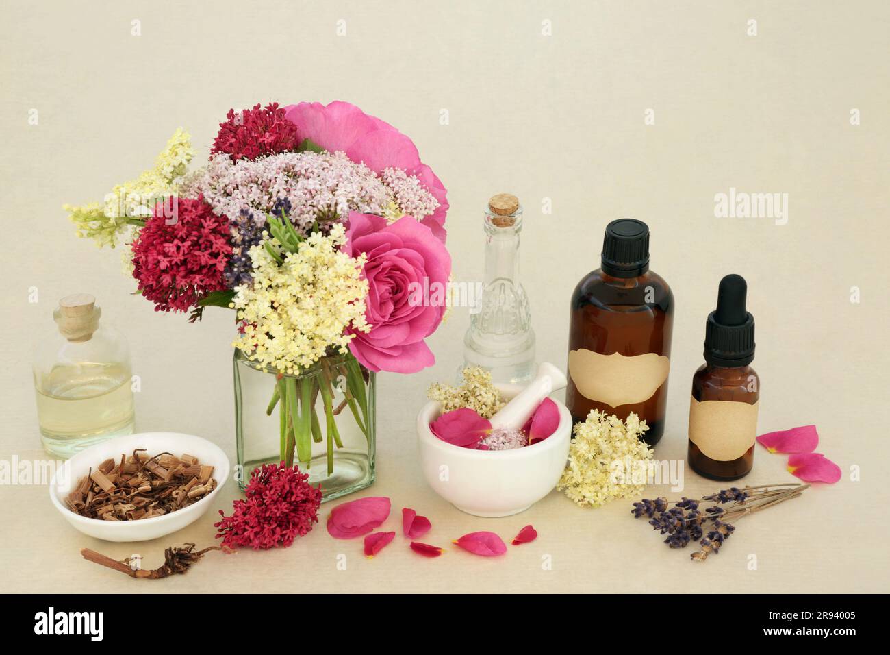 Adaptogen plant flower hi-res stock photography and images - Alamy