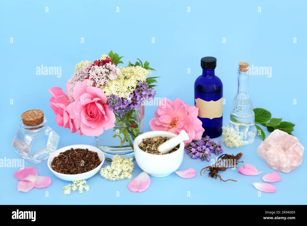 Adaptogen plant flower hi-res stock photography and images - Alamy