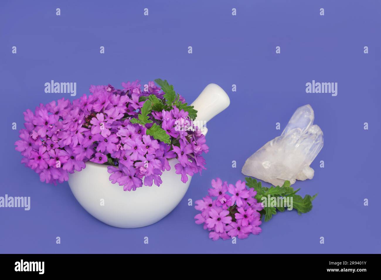 Verbena herb flowers with quartz crystal for natural healing used in ...