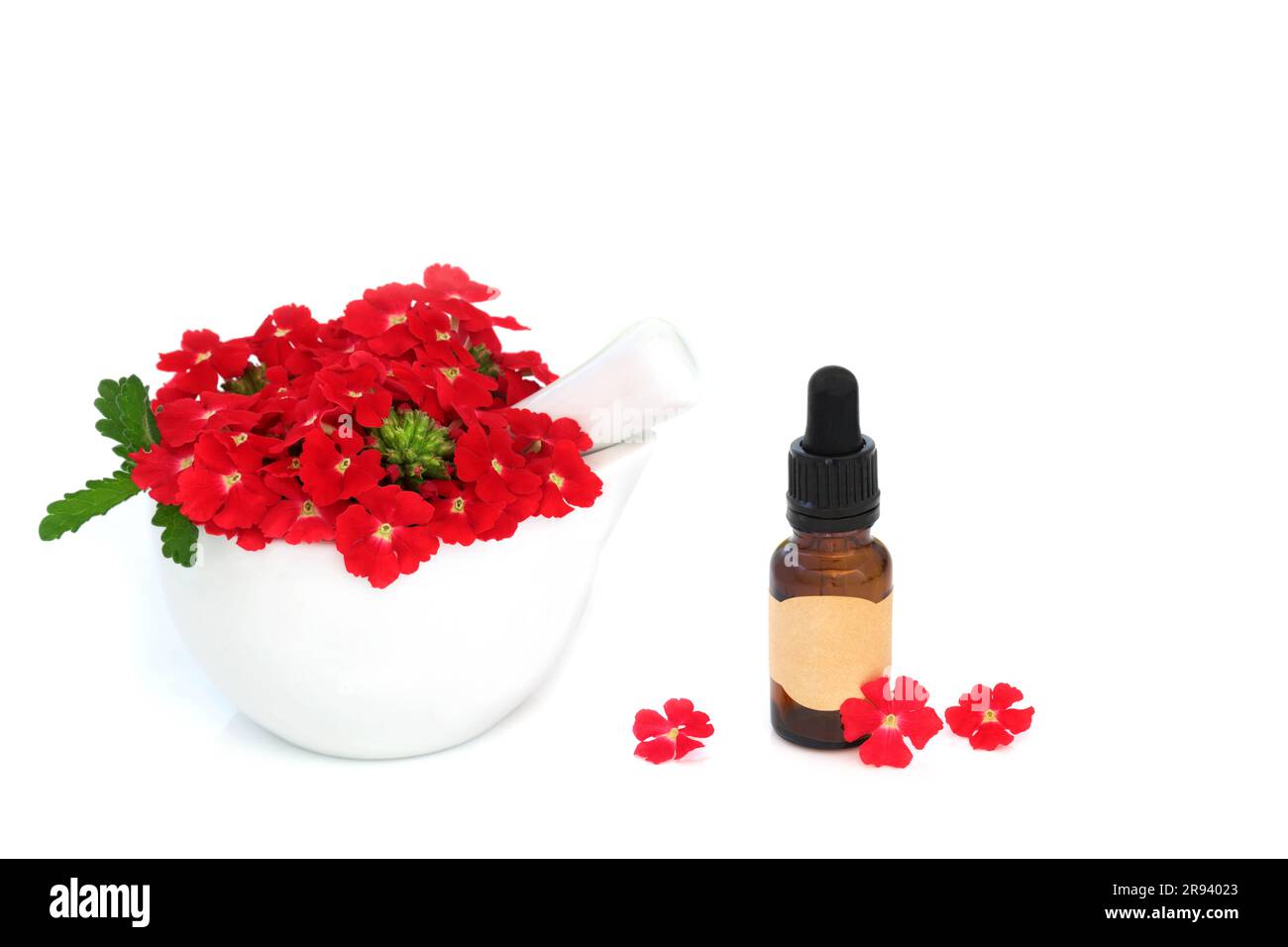 Red verbena herb flowers used in herbal medicine & essential oil bottle ...