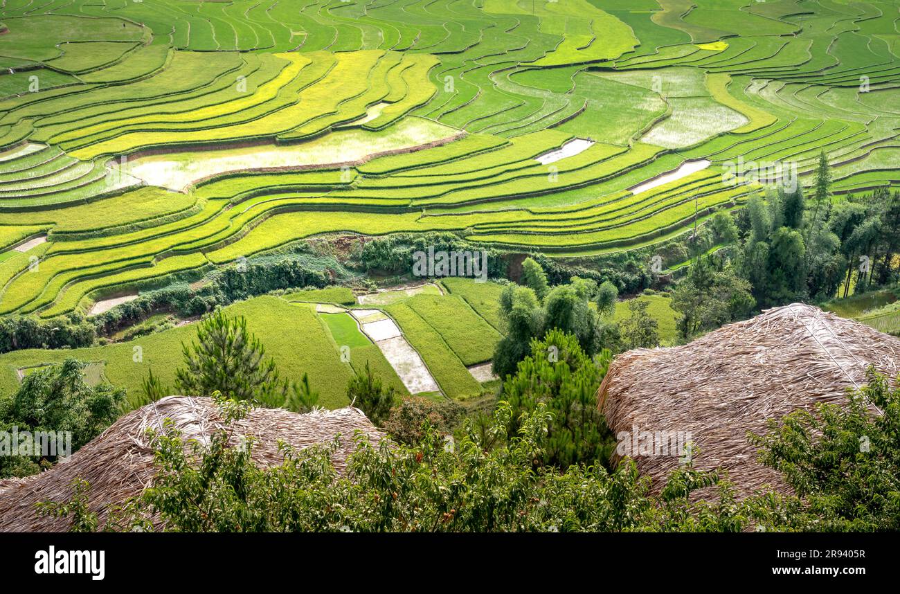 Amazing Rice fields on terraced in watering seasont at Tu Le valley ...