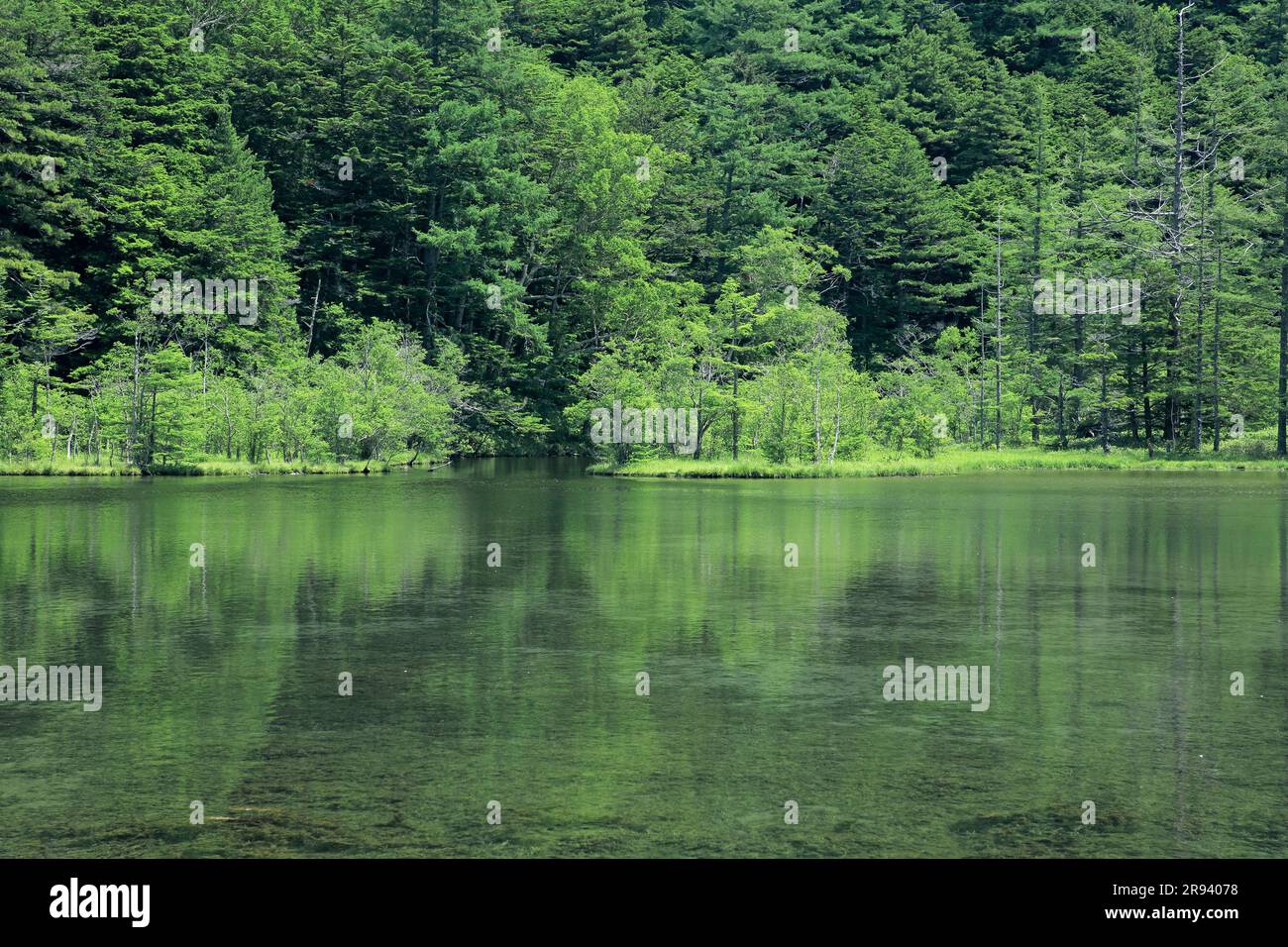 Myojin ike pond hi-res stock photography and images - Alamy