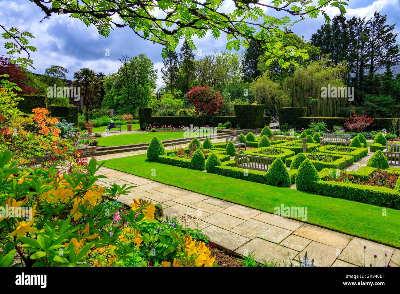 A colourful display of spring flowers and leaves in the Parterre Garden ...