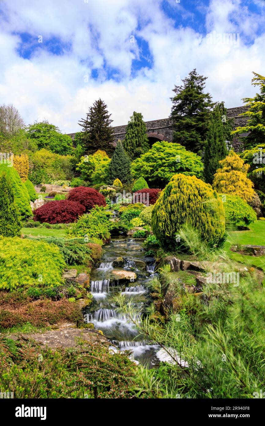 A colourful display of spring flowers and leaves in the Kilver Court ...