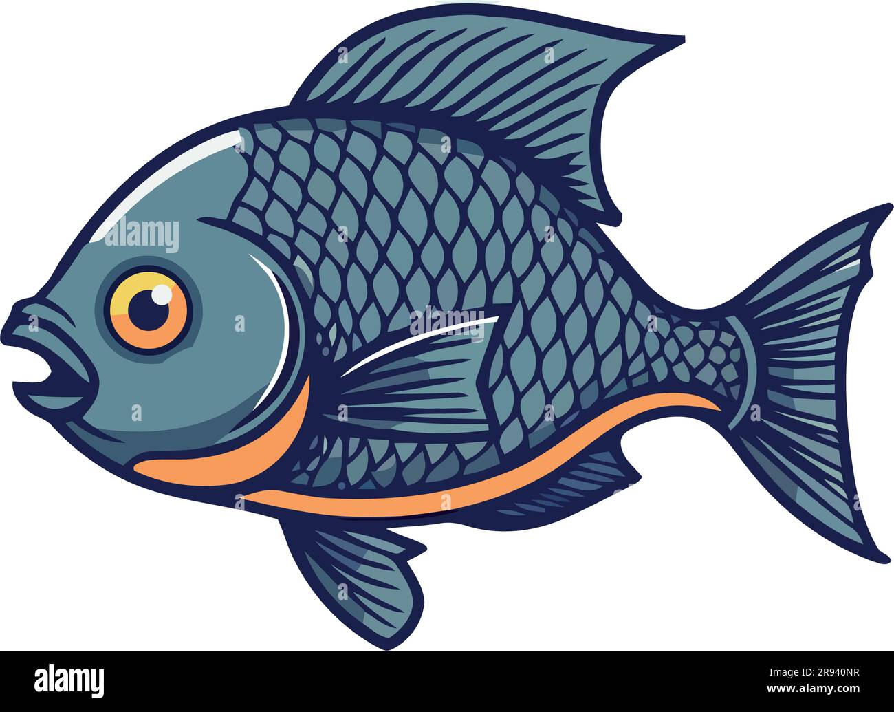 fish swimming on white background Stock Vector Image & Art - Alamy