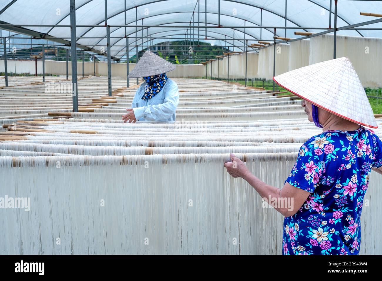 Lo noodle factory hi-res stock photography and images - Alamy