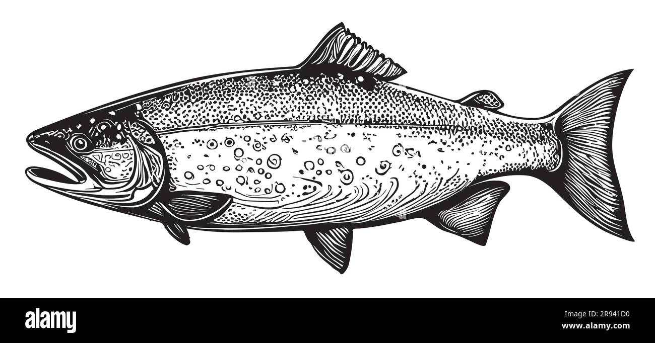 Salmon fish sketch hand drawn in doodle style illustration Stock Vector ...