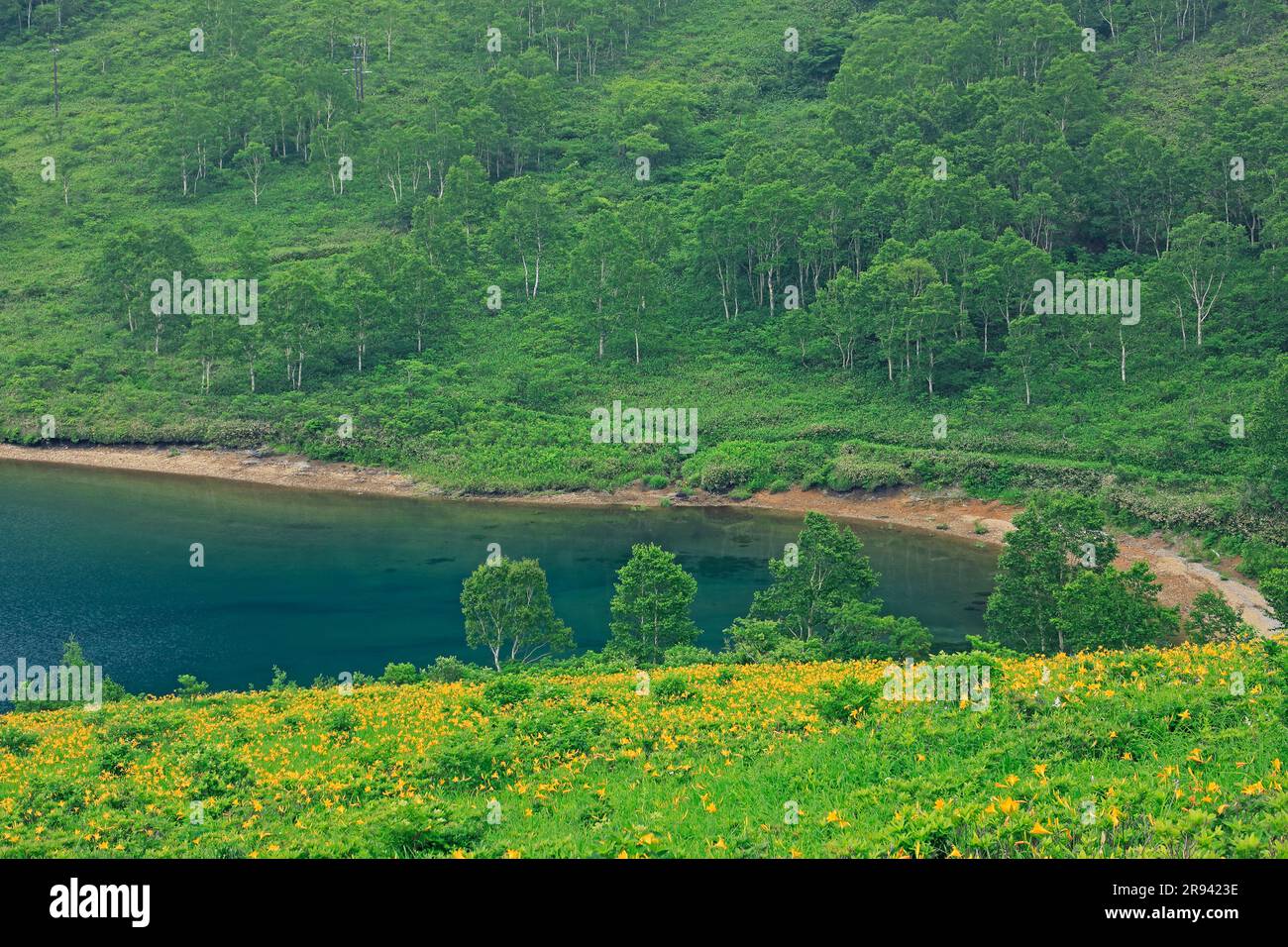 Notan hi-res stock photography and images - Alamy