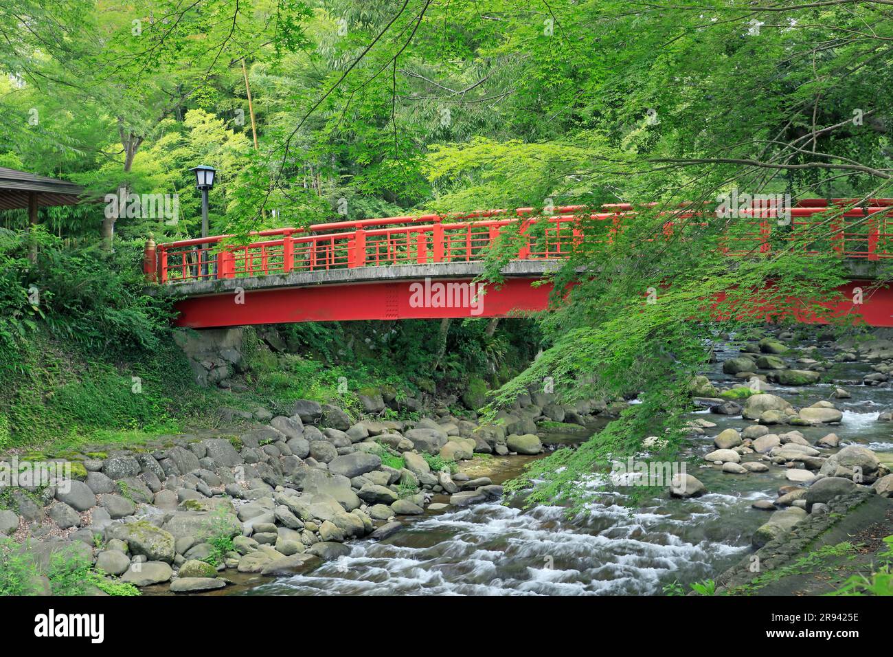 Bridge hot springs hi-res stock photography and images - Alamy