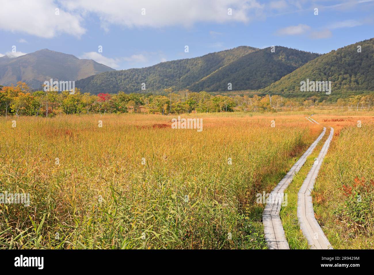 Oze national park japan hi-res stock photography and images - Alamy
