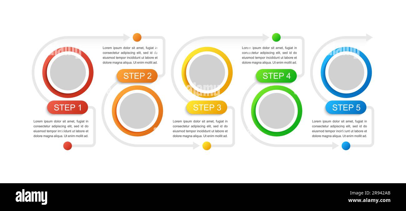 Human resource management infographic chart design template Stock ...