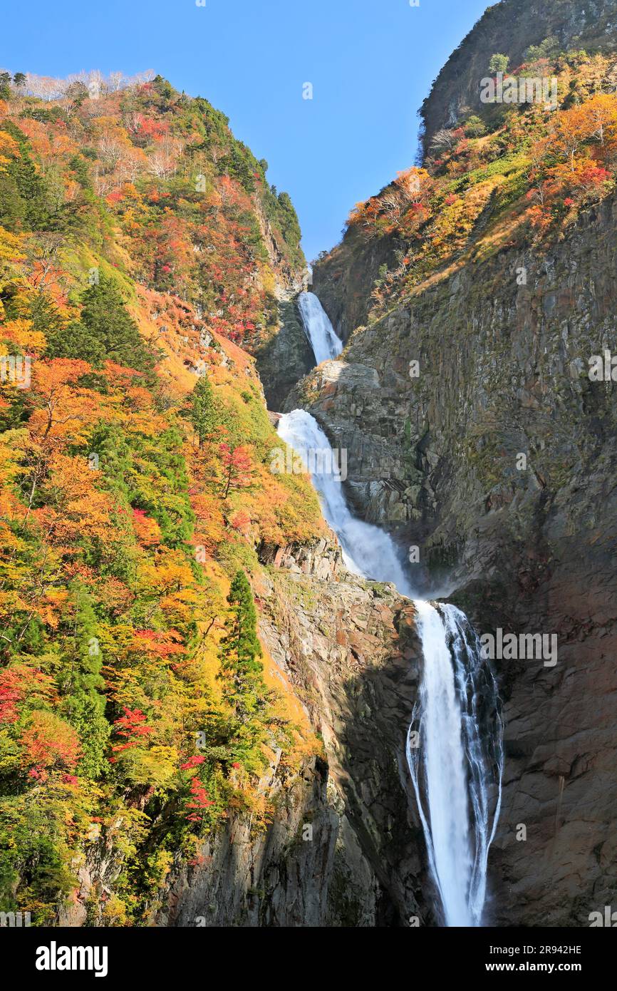 100 best waterfalls in japan hi-res stock photography and images - Alamy