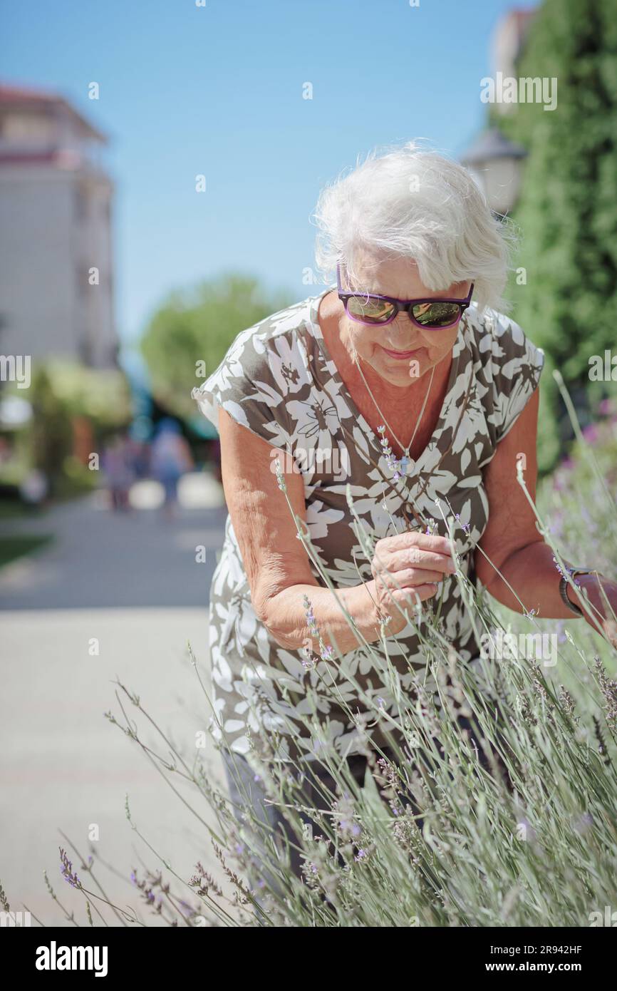 Woman smelling lavender garden hi-res stock photography and images - Alamy