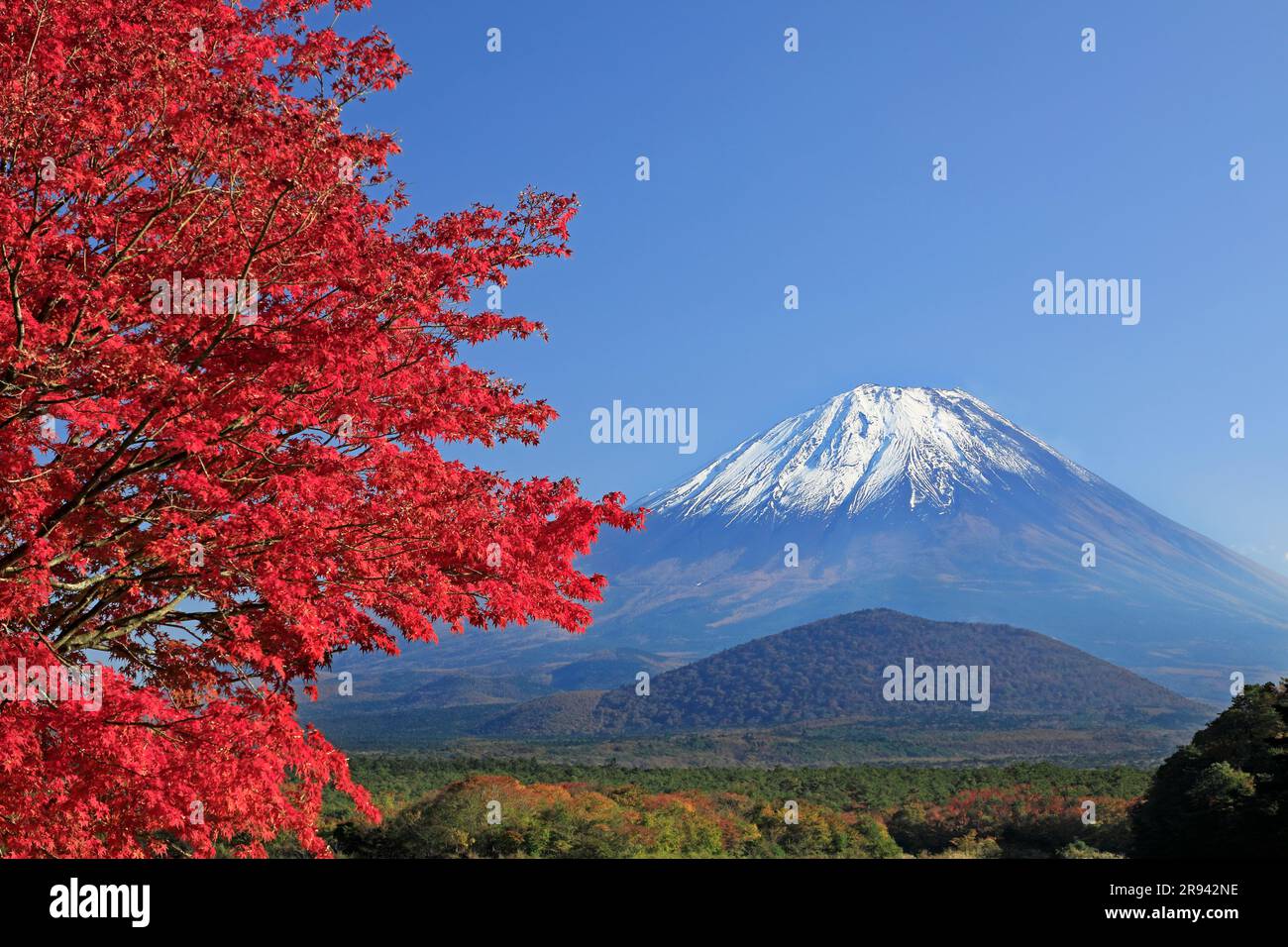 Lake shojin hi-res stock photography and images - Alamy