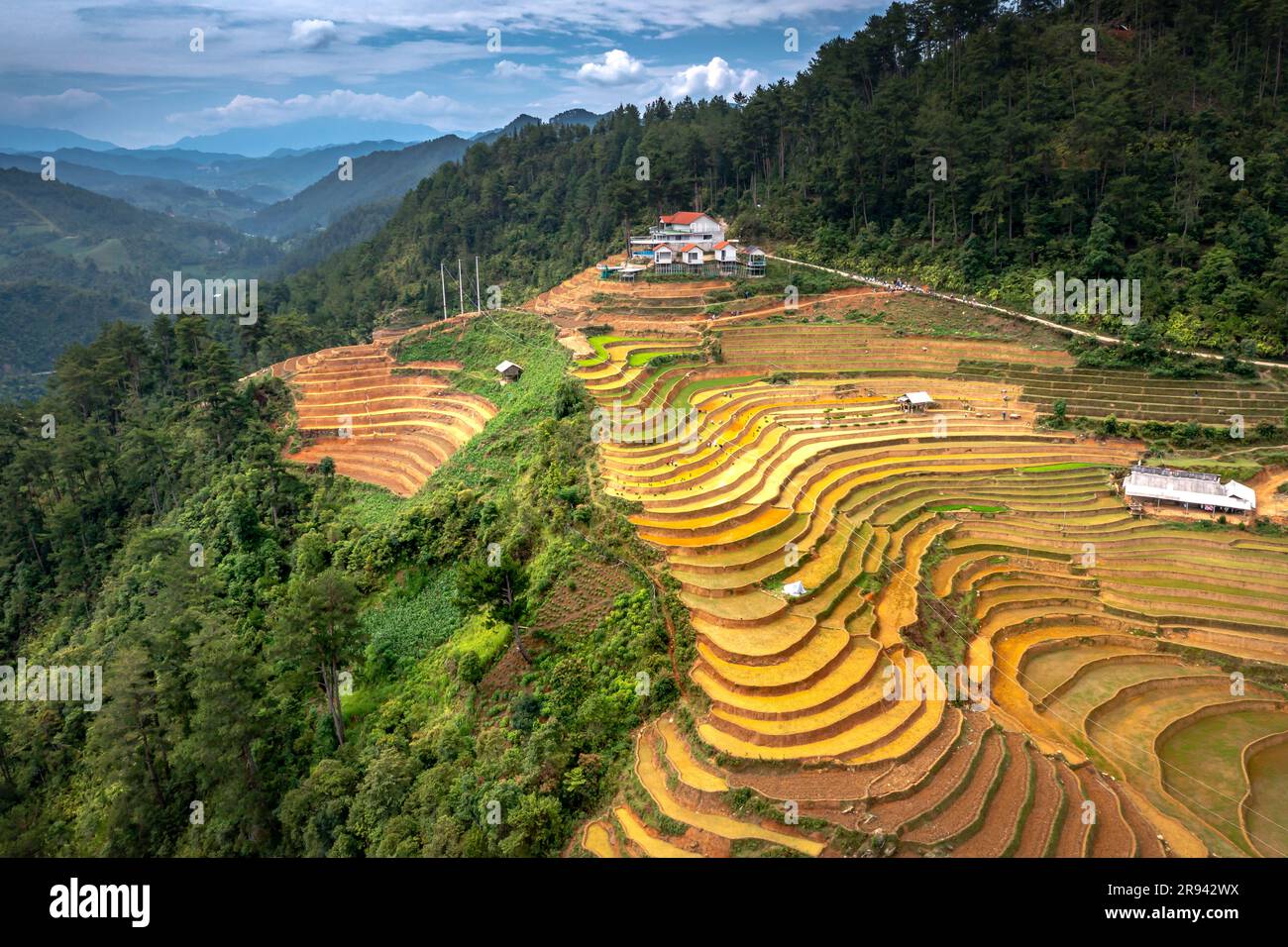 Terraced fields during the watering season in De Xu Phinh, Mu Cang Chai ...