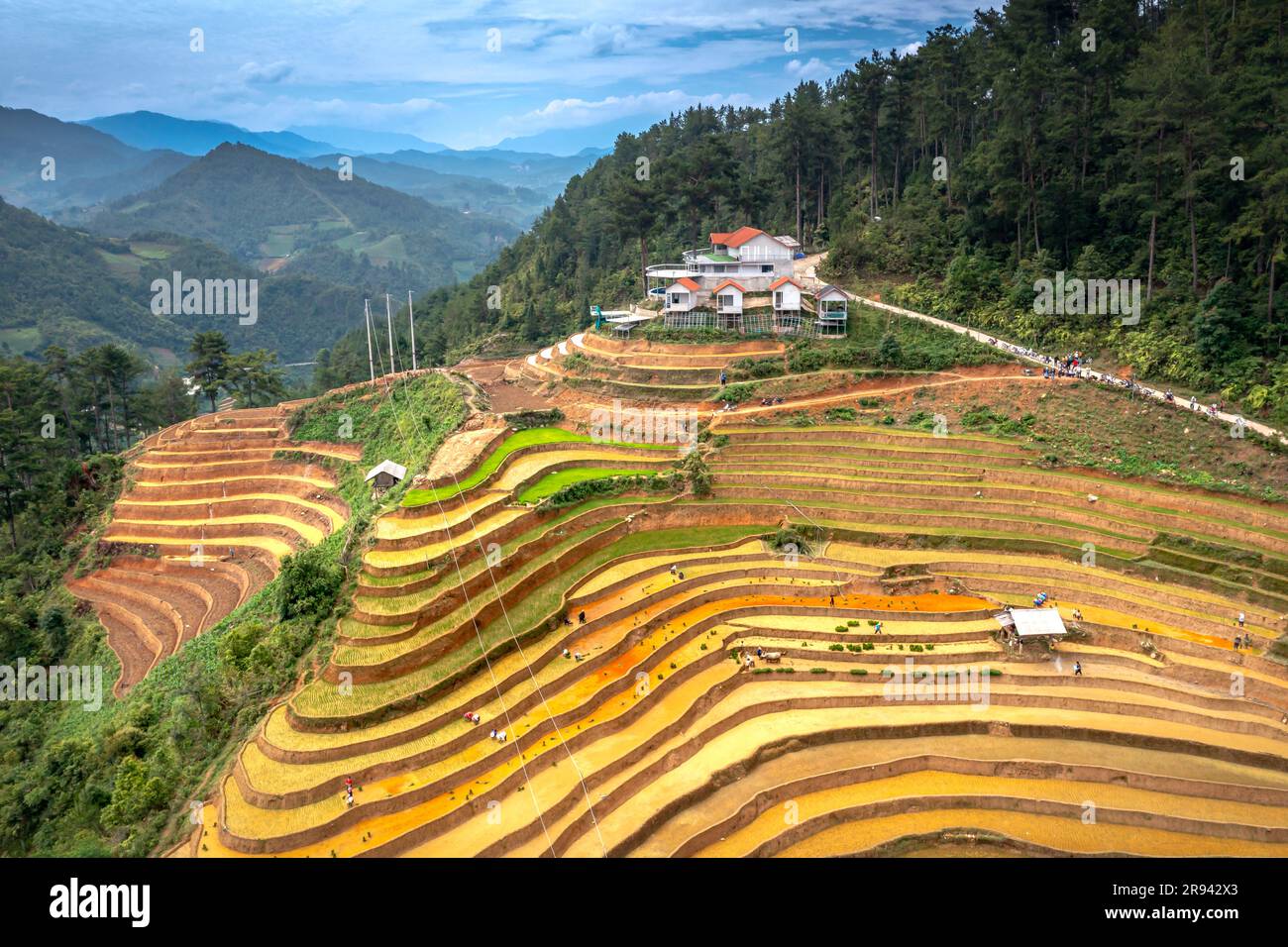 Terraced fields during the watering season in De Xu Phinh, Mu Cang Chai ...