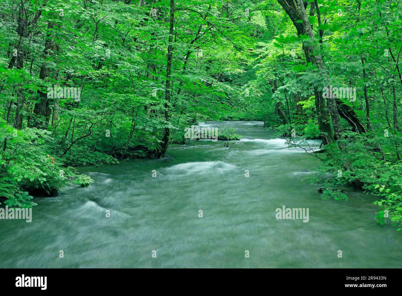 Stream flow into lake hi-res stock photography and images - Alamy