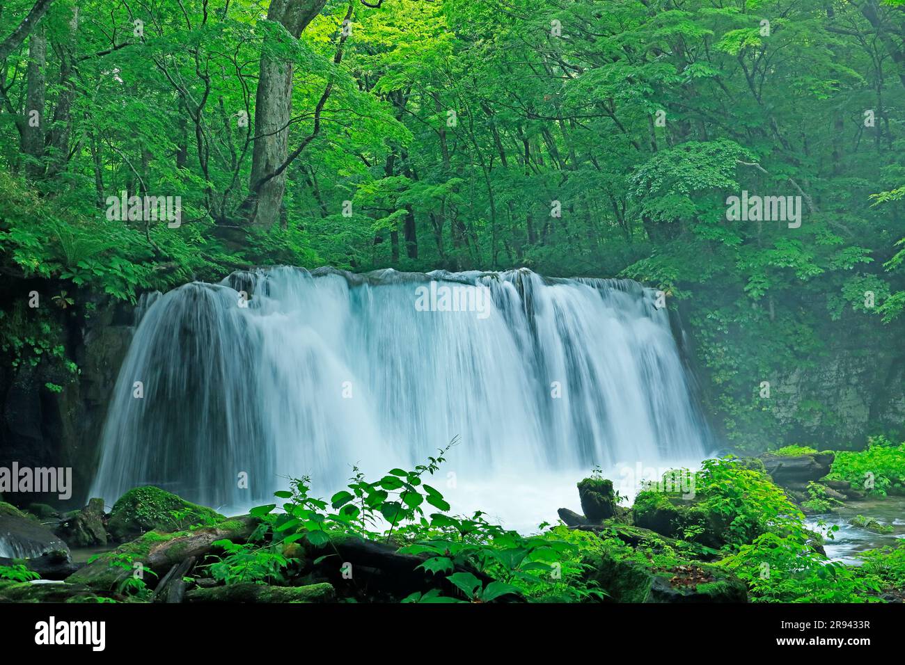 Choshi Otaki Falls of Oirase Mountain Stream Stock Photo - Alamy
