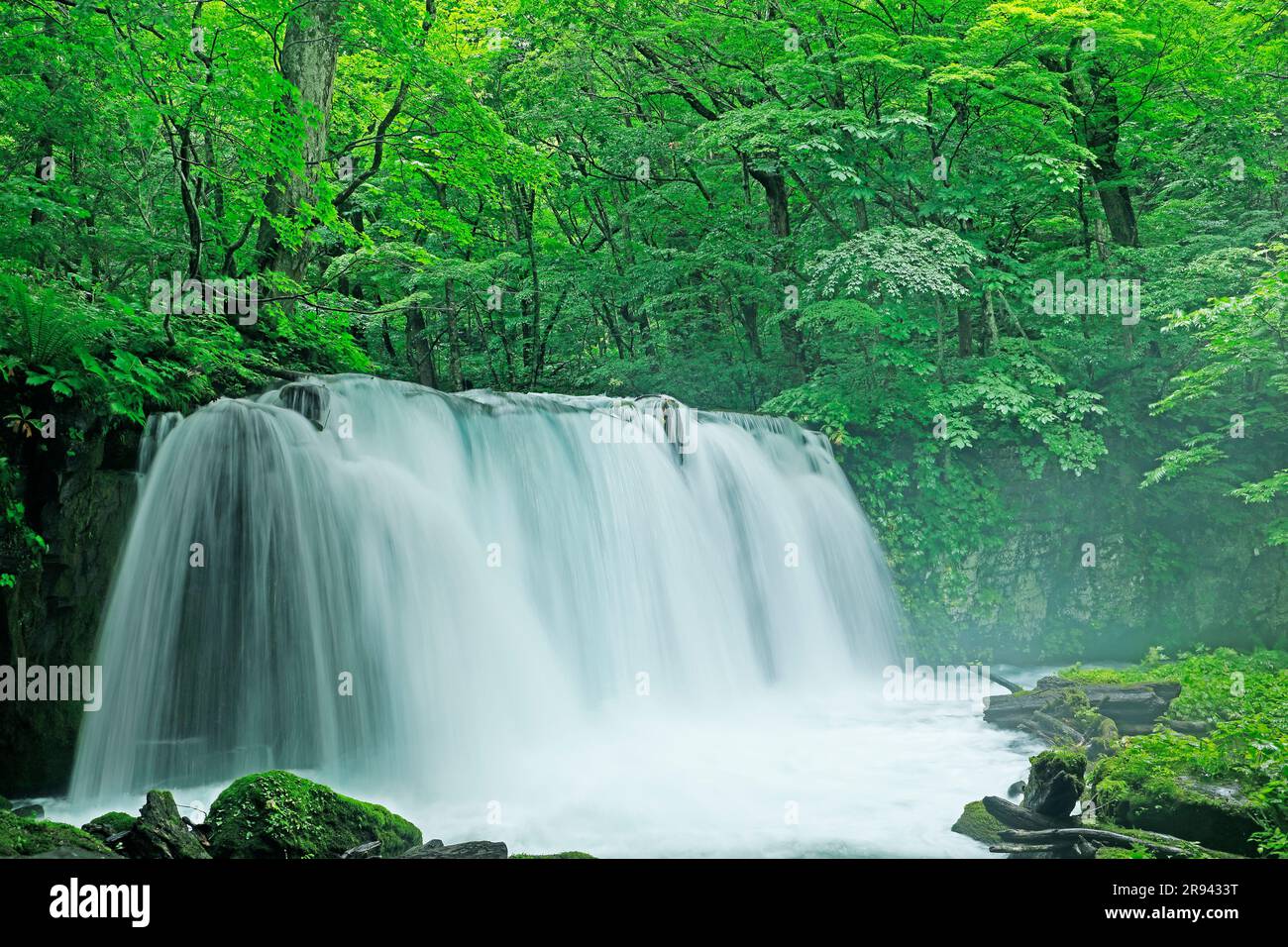 Choshi Otaki Falls of Oirase Mountain Stream Stock Photo - Alamy