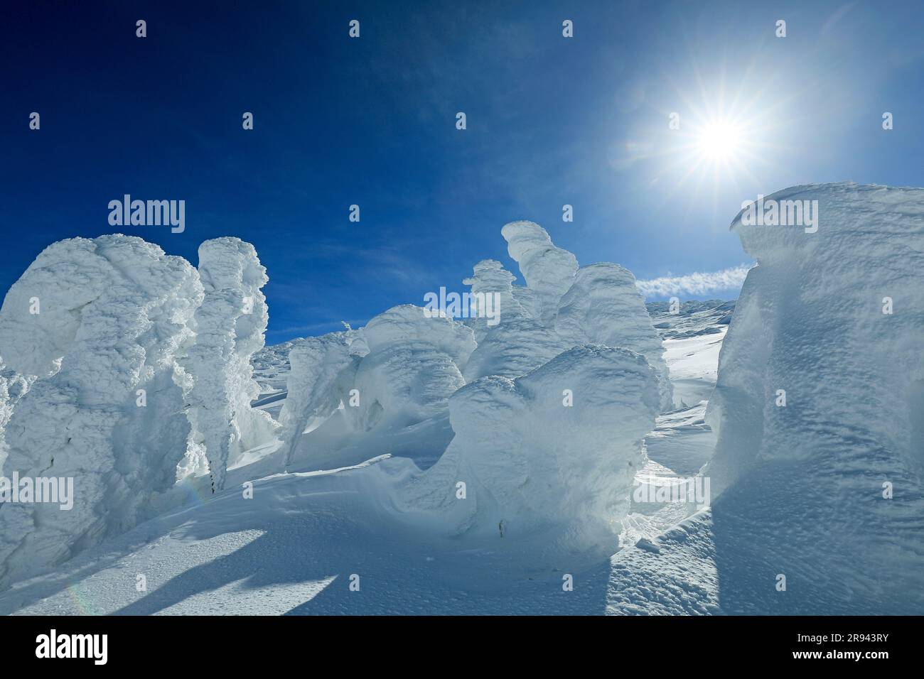 Juhyō in Zaō Stock Photo - Alamy