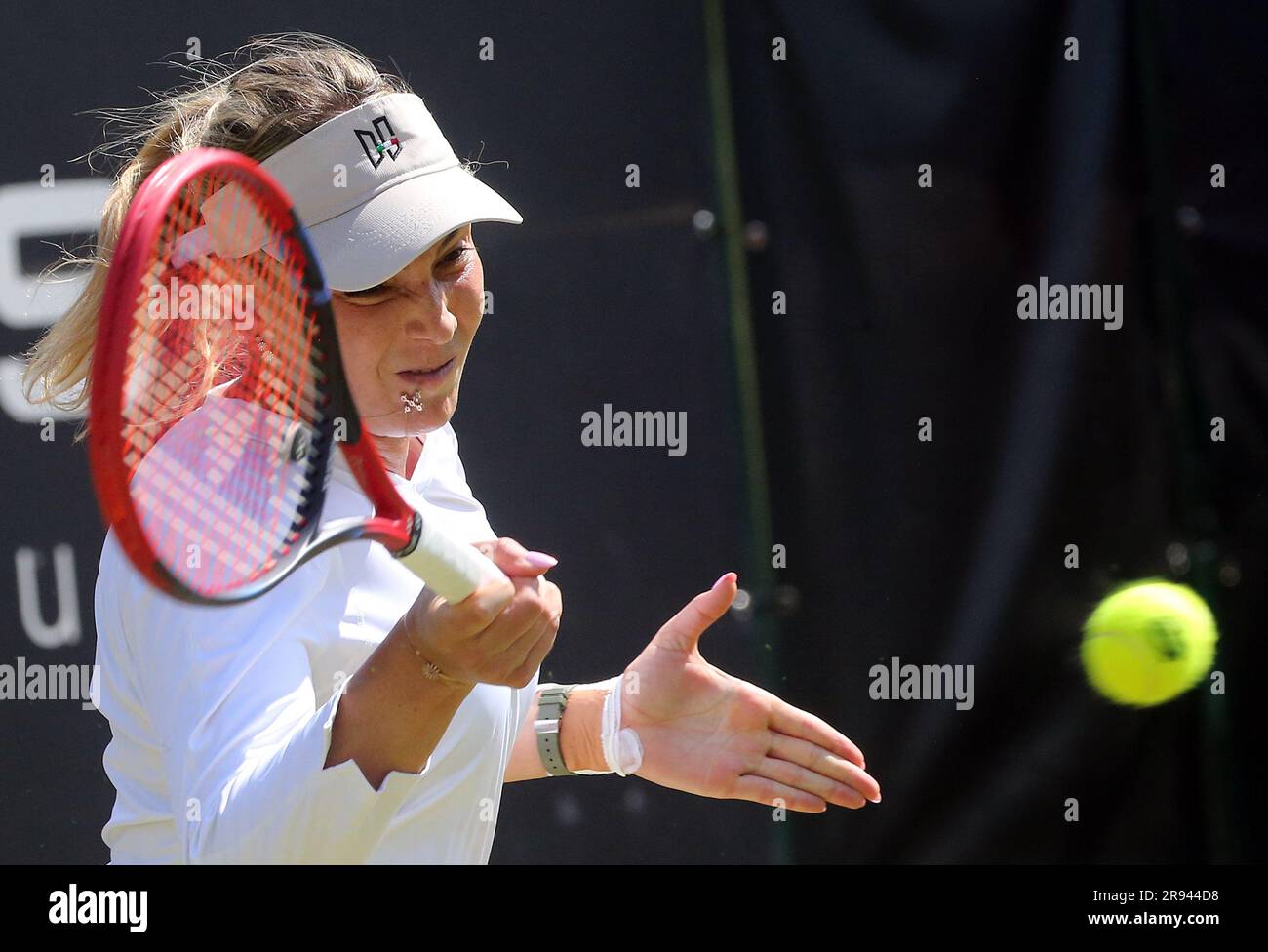 Avanesyan hi-res stock photography and images - Alamy