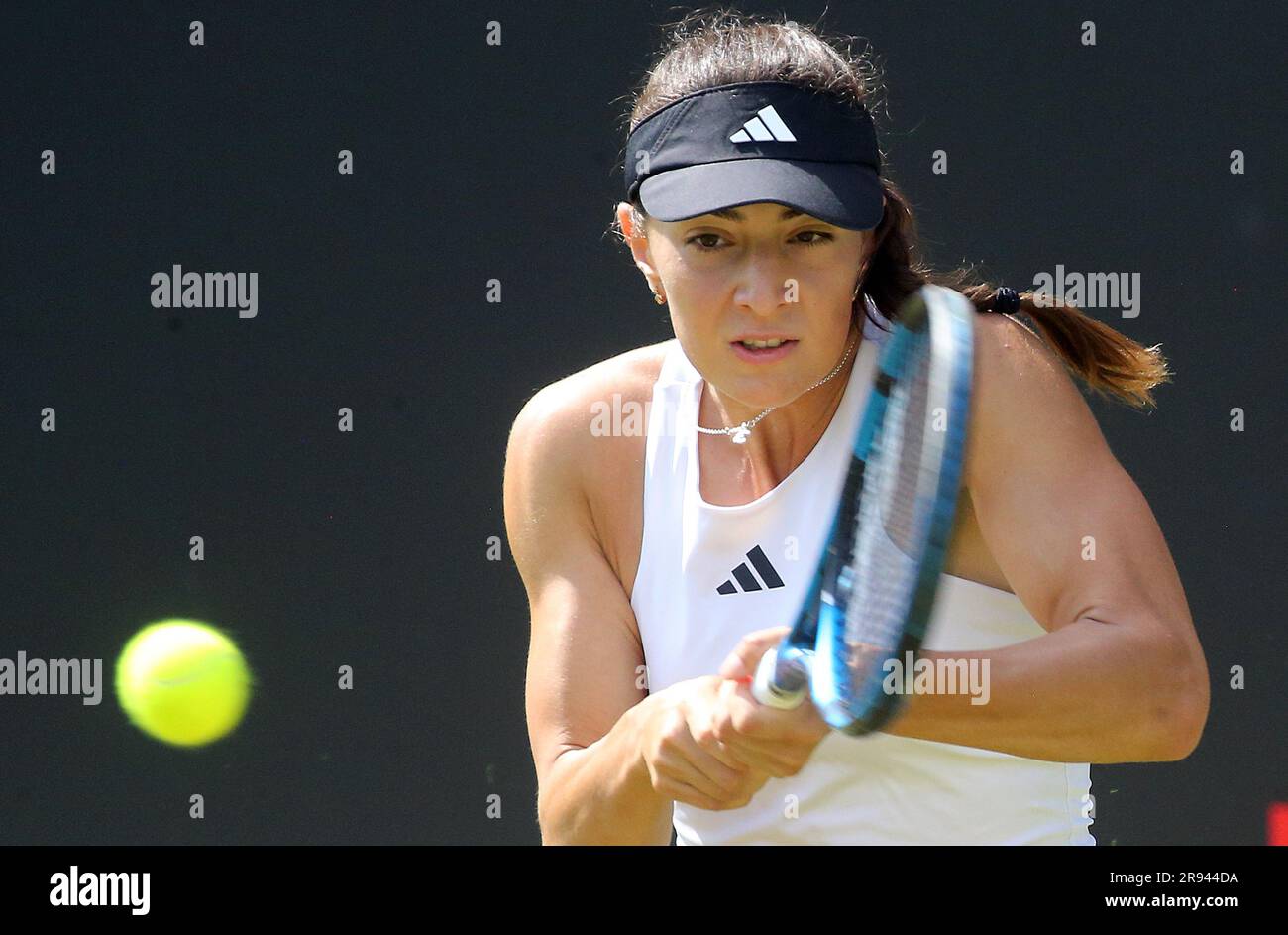 Elina avanesyan hi-res stock photography and images - Alamy