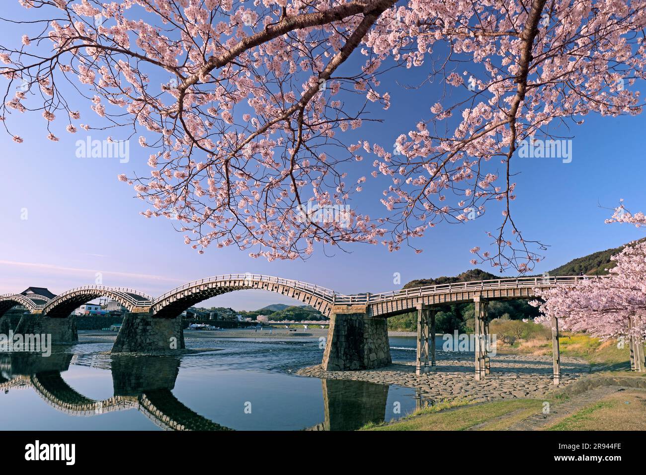 Kintai bridge blossom hi-res stock photography and images - Alamy