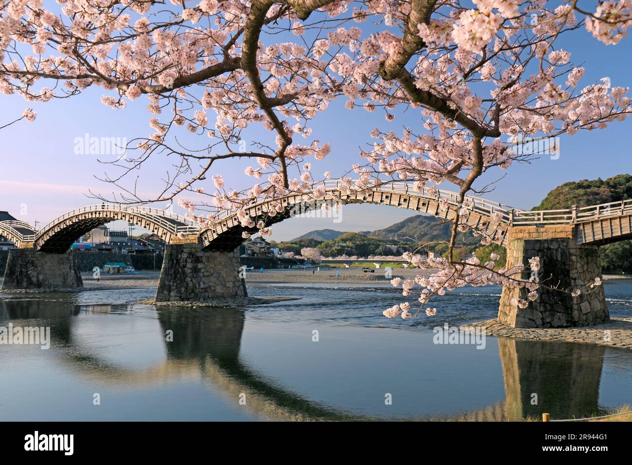 Kintai-bashi bridge and cherry blossoms Stock Photo - Alamy