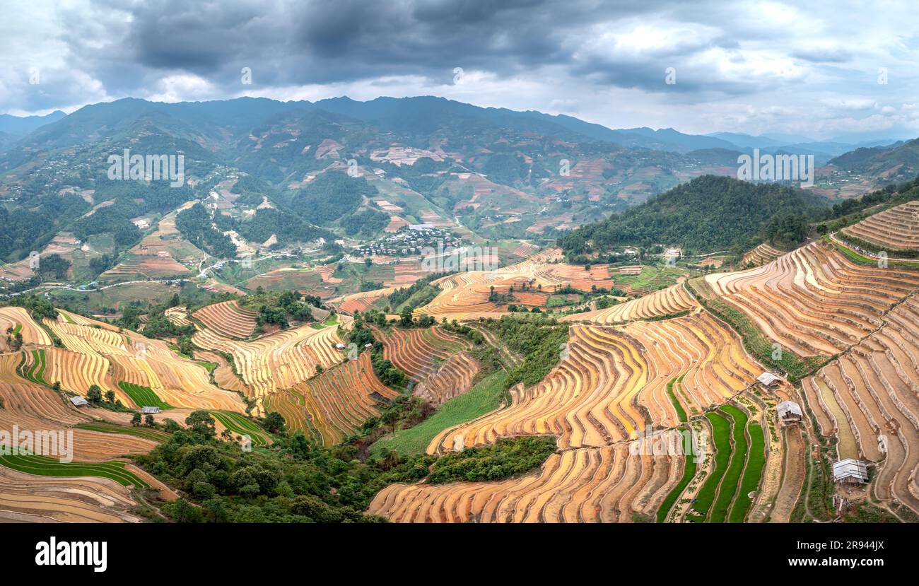 Terraced fields during the watering season in De Xu Phinh, Mu Cang Chai ...