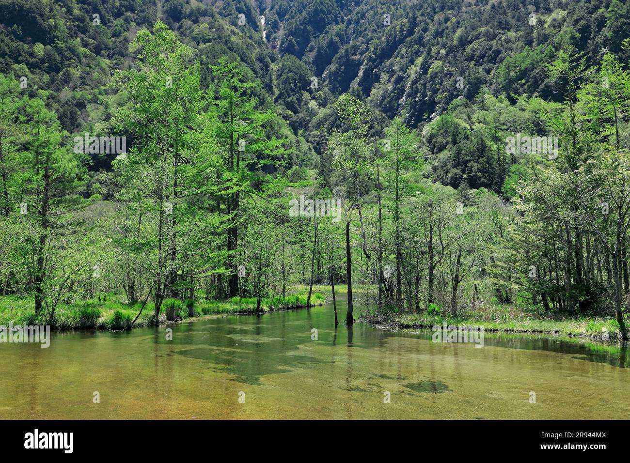 Tashiro Pond in Kamikochi Stock Photo - Alamy