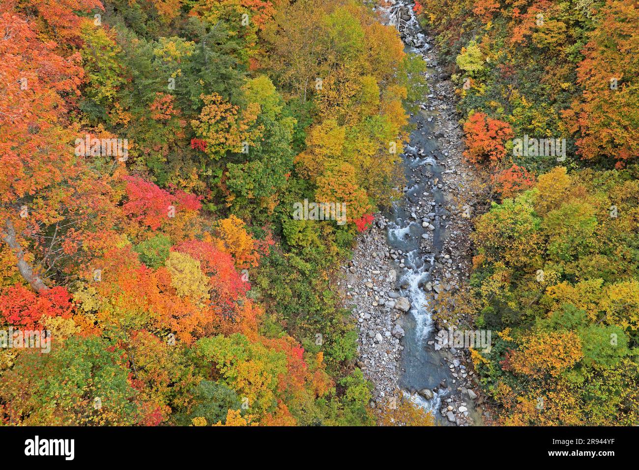 Tamagawa valley hi-res stock photography and images - Alamy
