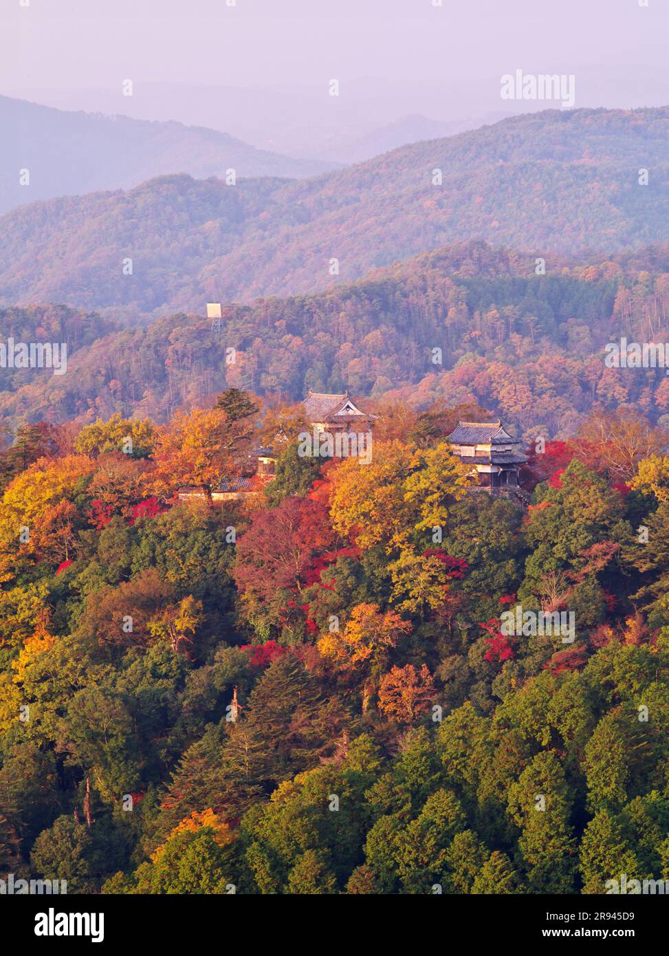 Autumn in Bicchu Matsuyama Castle Stock Photo - Alamy