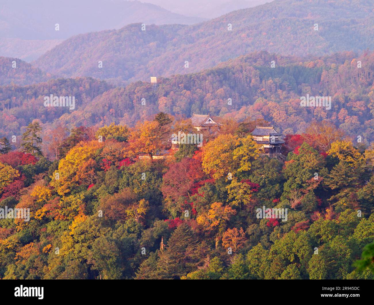 Autumn in Bicchu Matsuyama Castle Stock Photo - Alamy