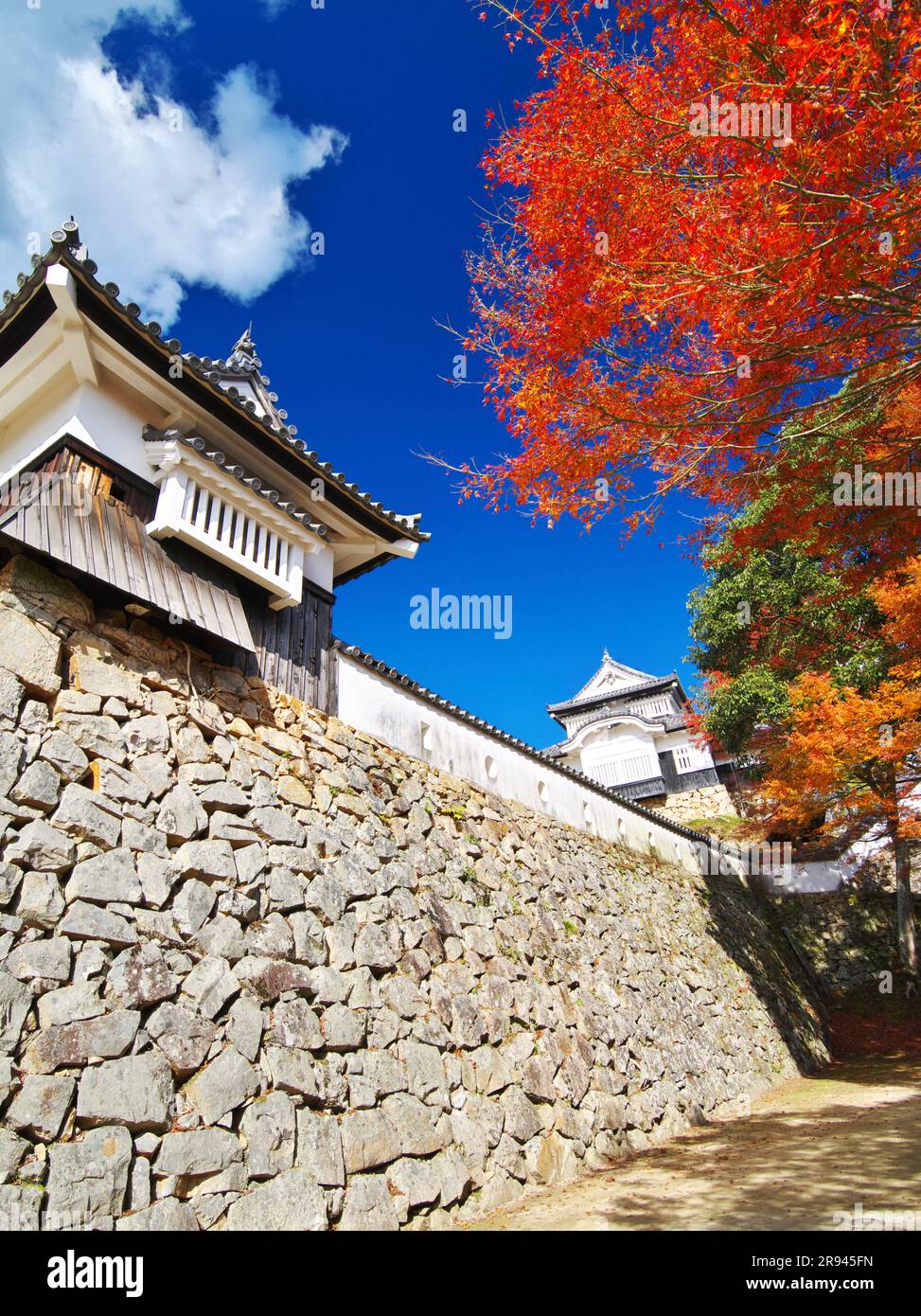 Bicchu Matsuyama Castle and Autumn Leaves Stock Photo - Alamy