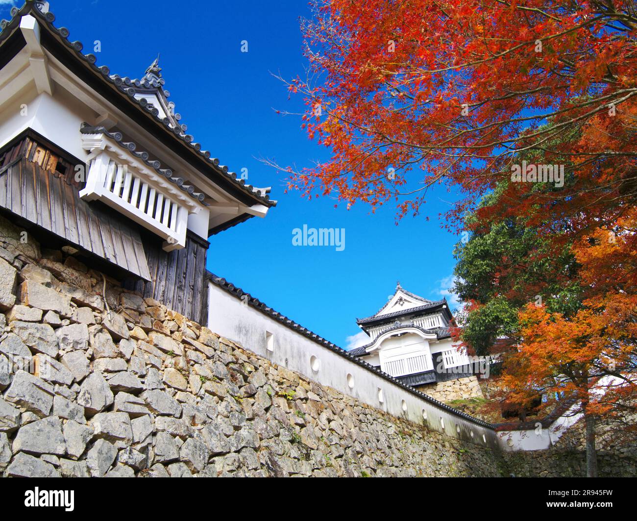 Bicchu Matsuyama Castle and Autumn Leaves Stock Photo - Alamy