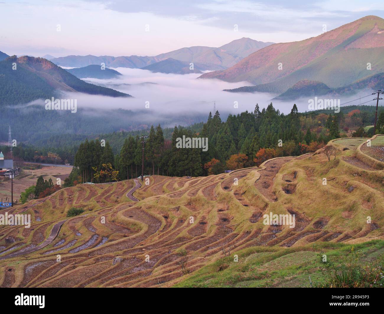Maruyama Senmaida and morning sea of clouds Stock Photo - Alamy