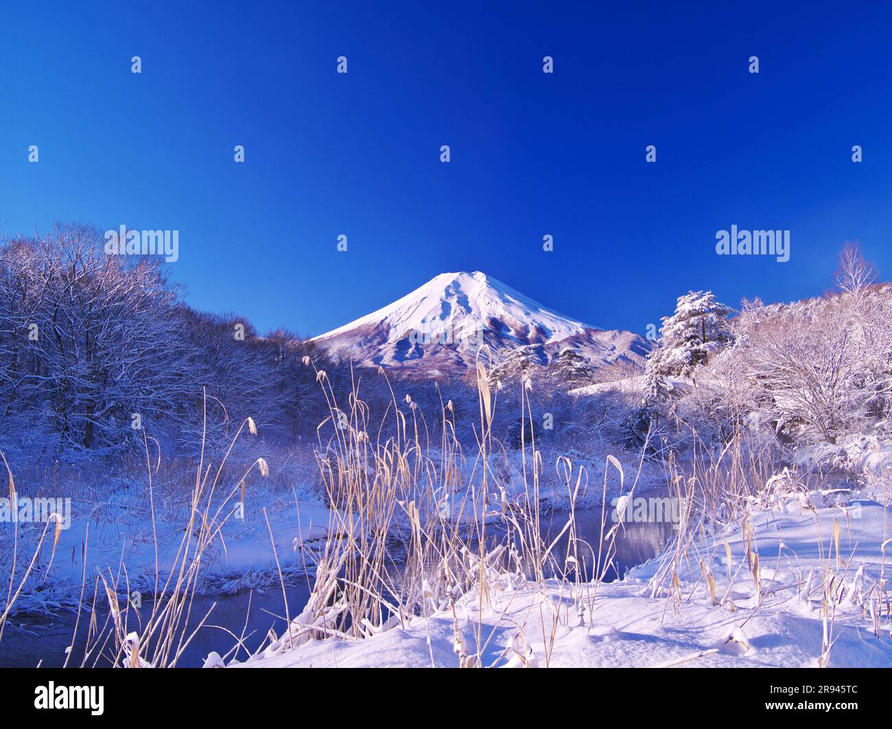 Katsuragawa river hi-res stock photography and images - Alamy