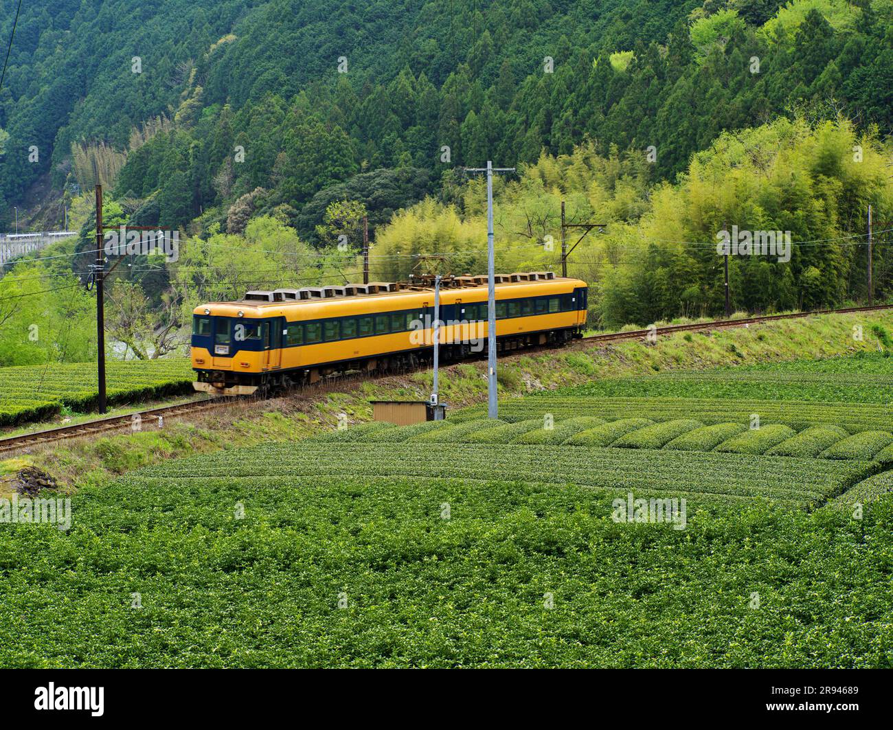 Oigawa railway hi-res stock photography and images - Alamy