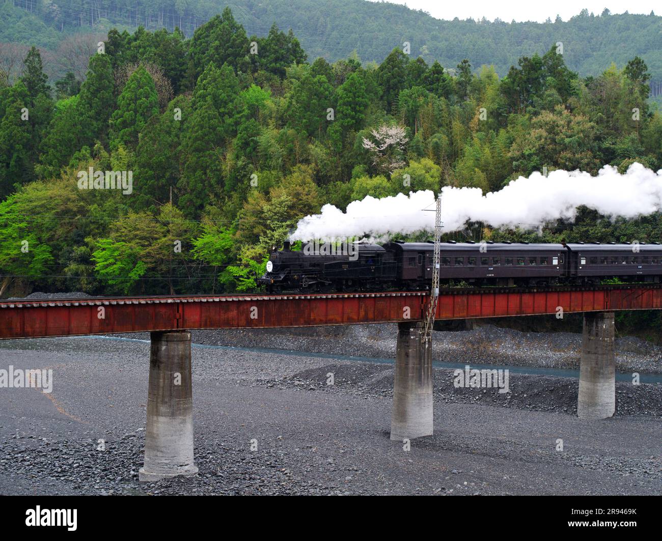 Oigawa railway steam locomotive hi-res stock photography and images - Alamy