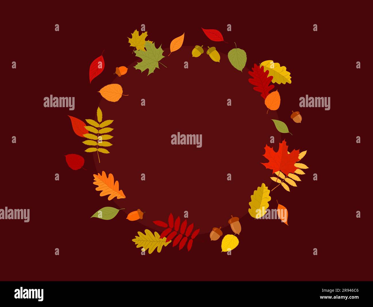 Circle of multicolored autumn leaves and acorns on a red burgundy ...