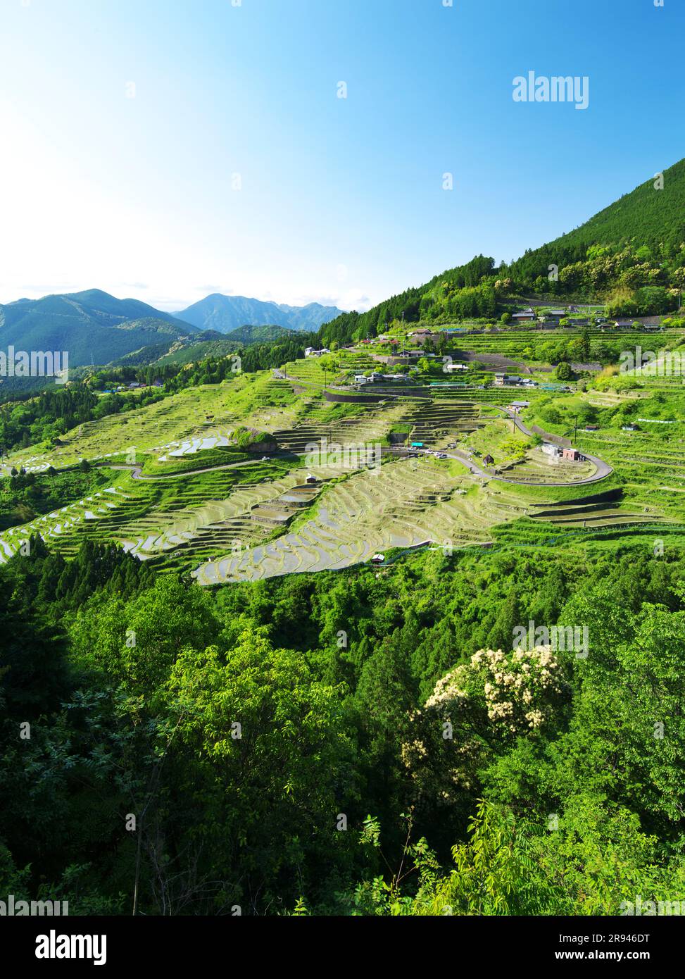 Hillside terrace japan hi-res stock photography and images - Alamy