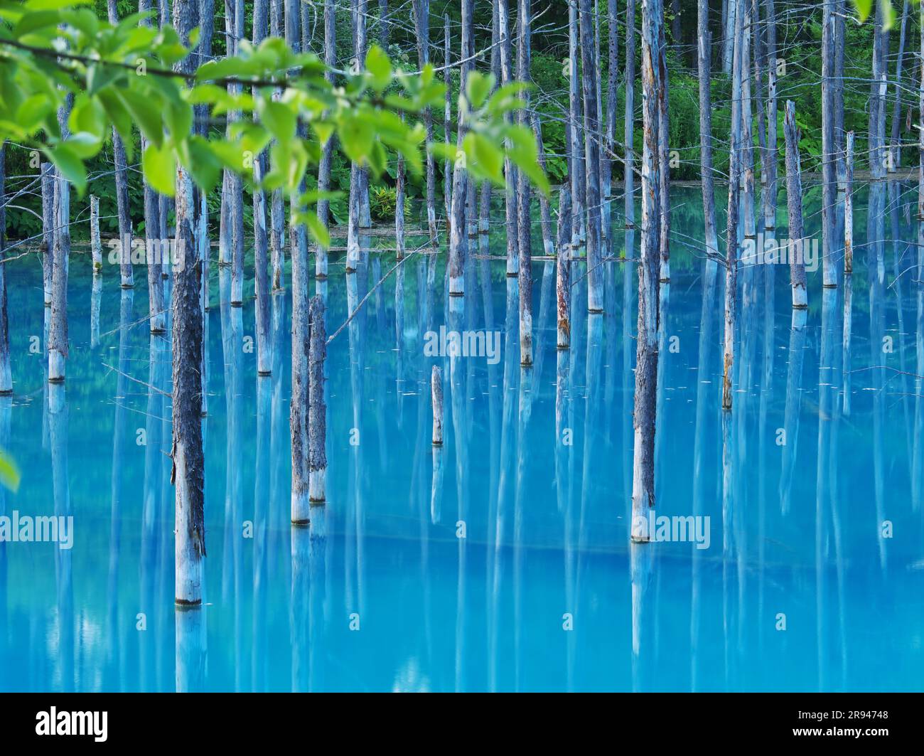 Blue pond hokkaido hi-res stock photography and images - Alamy